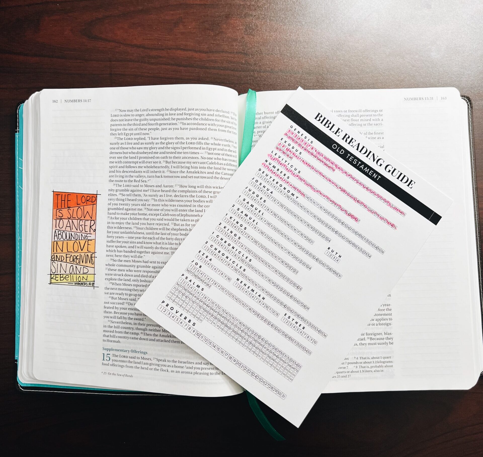 Bible Reading Guide - Tree of Life Ministries